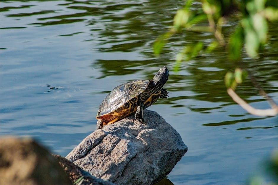 Ohio Sunshine Law Manual: Your 2023 Guide to Transparency